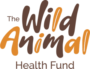 How Do Zoos Help Animals? - Wild Animal Health Fund